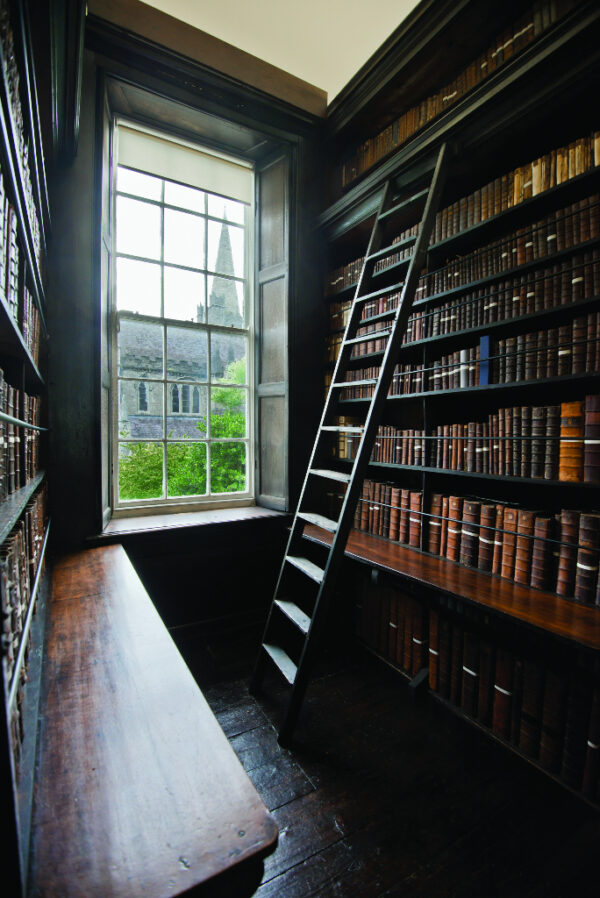 A bibliophile's dream - Marsh's Library