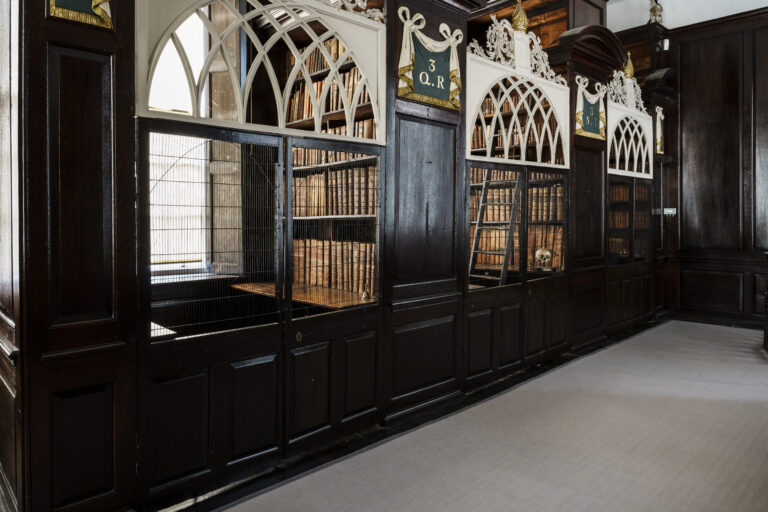 Discover the Vibrant History of Marsh's Library
