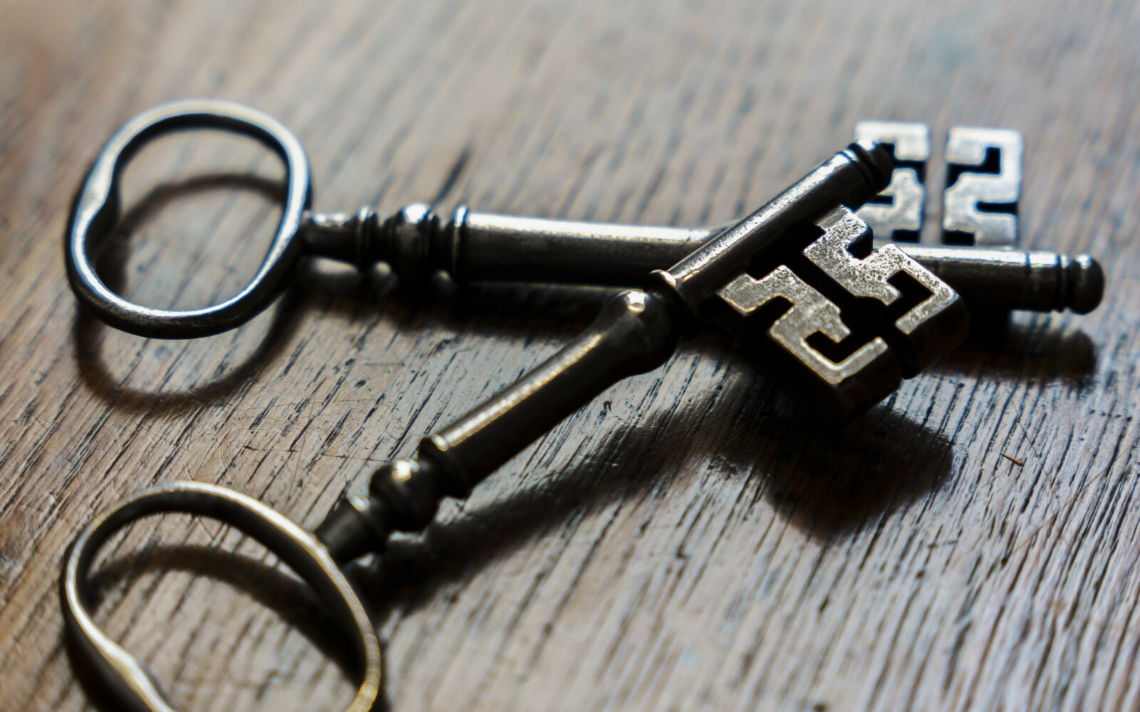 Internship to catalogue French materials, 1660-85 - Marsh's Library